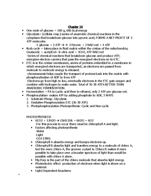 Exam 4 Notes - Magnoliophyta – ANGIOSPERMS Bennettitales inflorescence ...