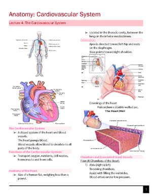 Anaphy Notes - Prelim - .... - Laboratory Anatomy - Structure of the ...