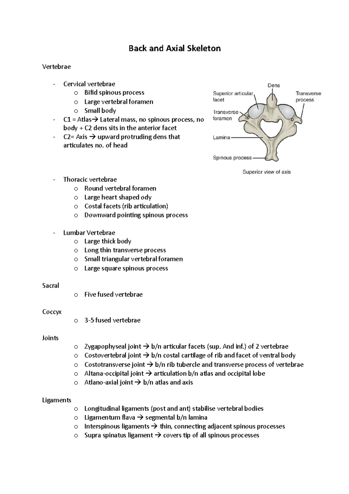 Back and Axial Skeleton overview - Back and Axial Skeleton Vertebrae ...