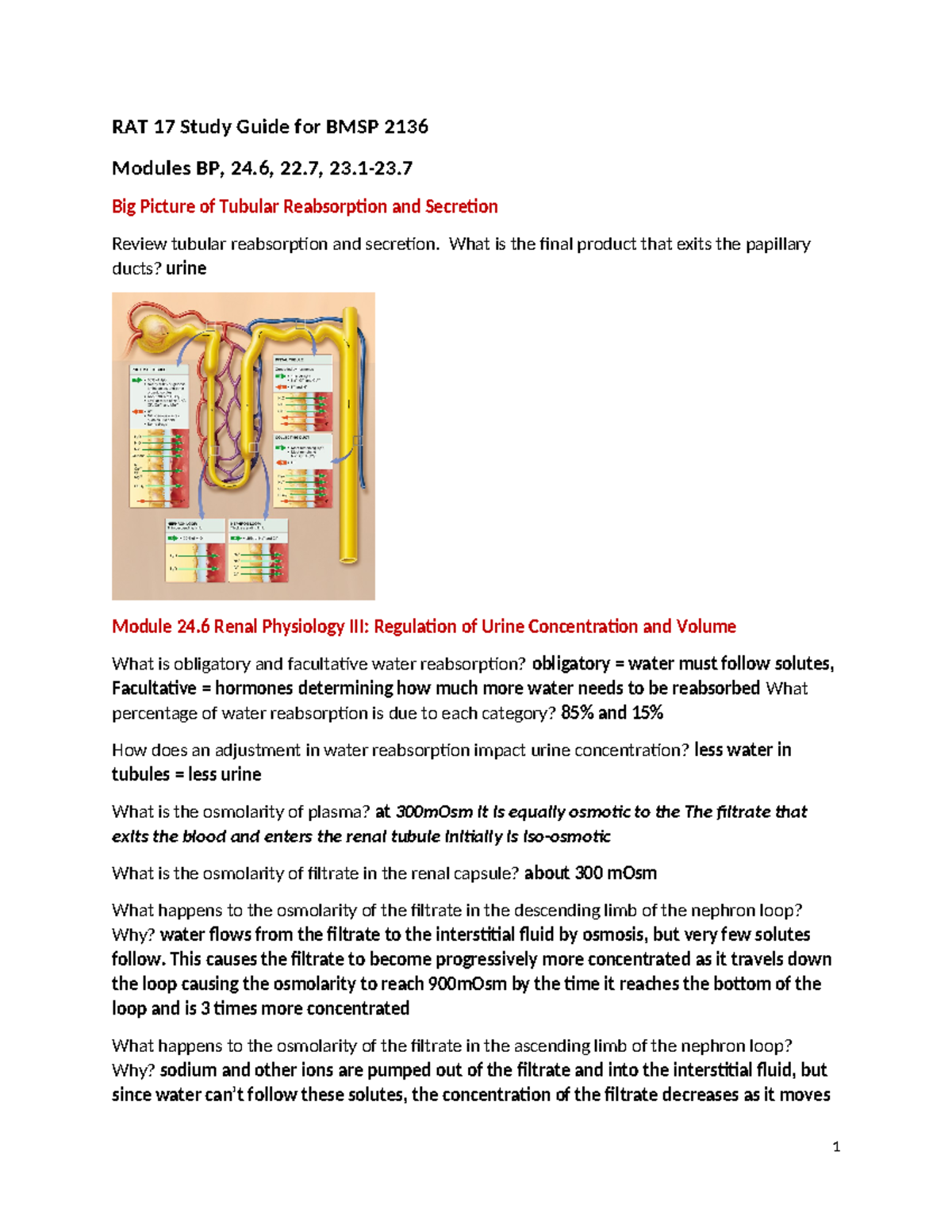 RAT 17 - Readiness Assurance Test for daily in class lecture quiz - RAT ...