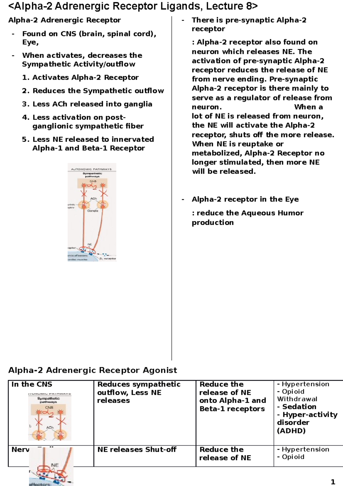 Pharmacology 1 - Alpha-2 Adrenergic Receptor Ligands (Lecture 8b)