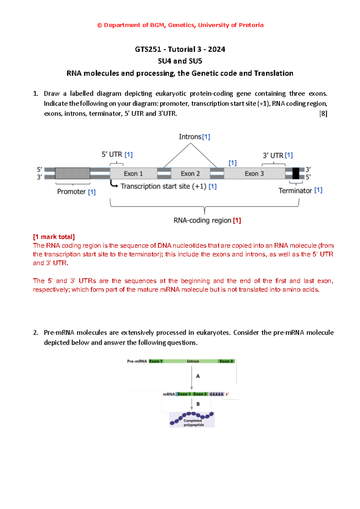 Tutorial 3 MEMO SU4&5 2024 - GTS251 - Tutorial 3 - 2024 SU 4 and SU 5 ...