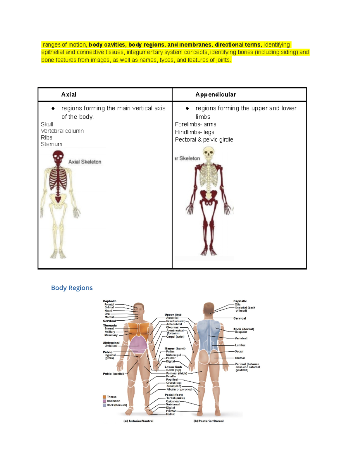 Biol 251 Lab Practical 1 - ranges of motion, body cavities, body ...