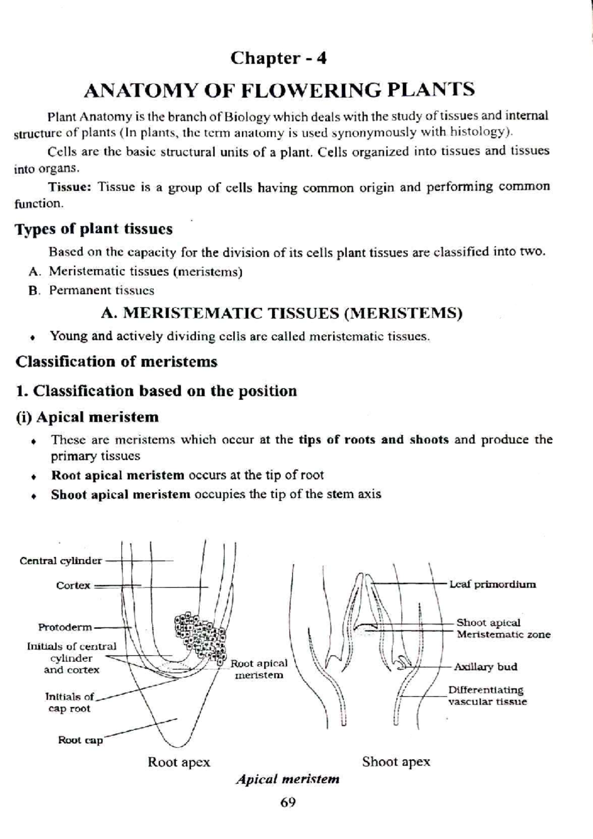 2 bio - Anatomy of flowering plants - science - Studocu