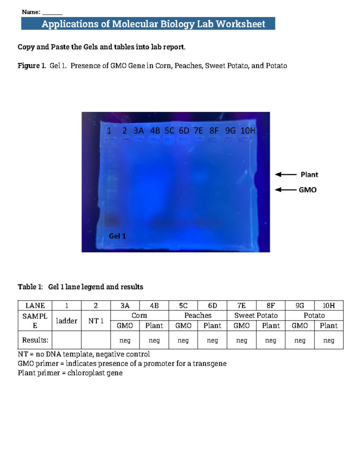 GMO Lab Data Worksheet for Bio 181 Lab during 2022-2023 spring semester - Name: Applications of ...