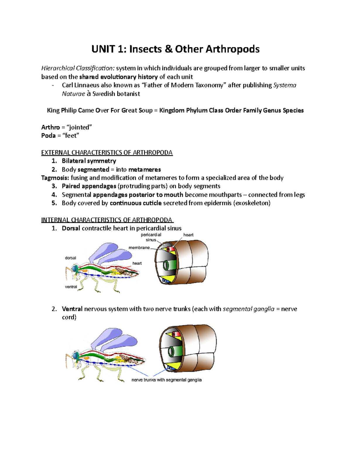 Unit 1 Insects & Other Arthropods - UNIT 1: Insects & Other Arthropods ...