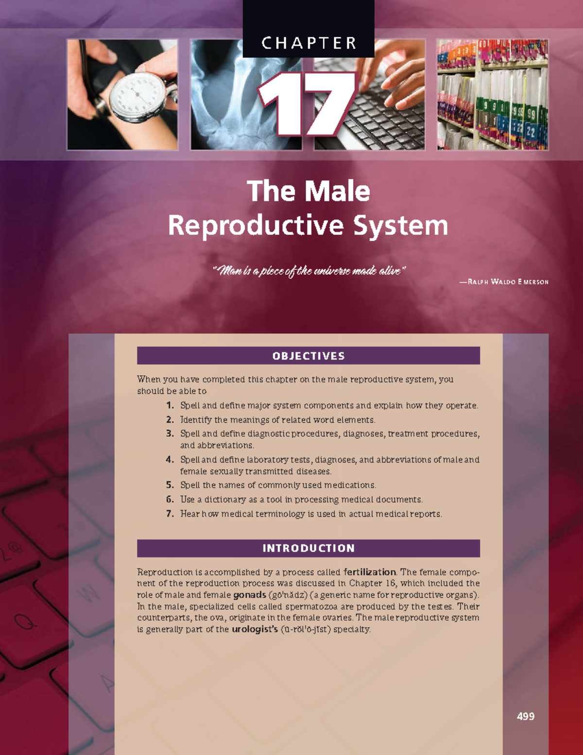 Book The male reproductive system - The Male Reproductive System OB JE ...