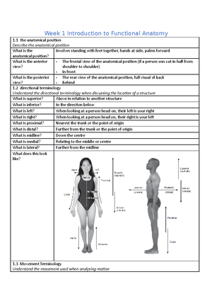 Chapter 4 - Anatomy of the skeletal muscles. - The Shoulder Girdle ...