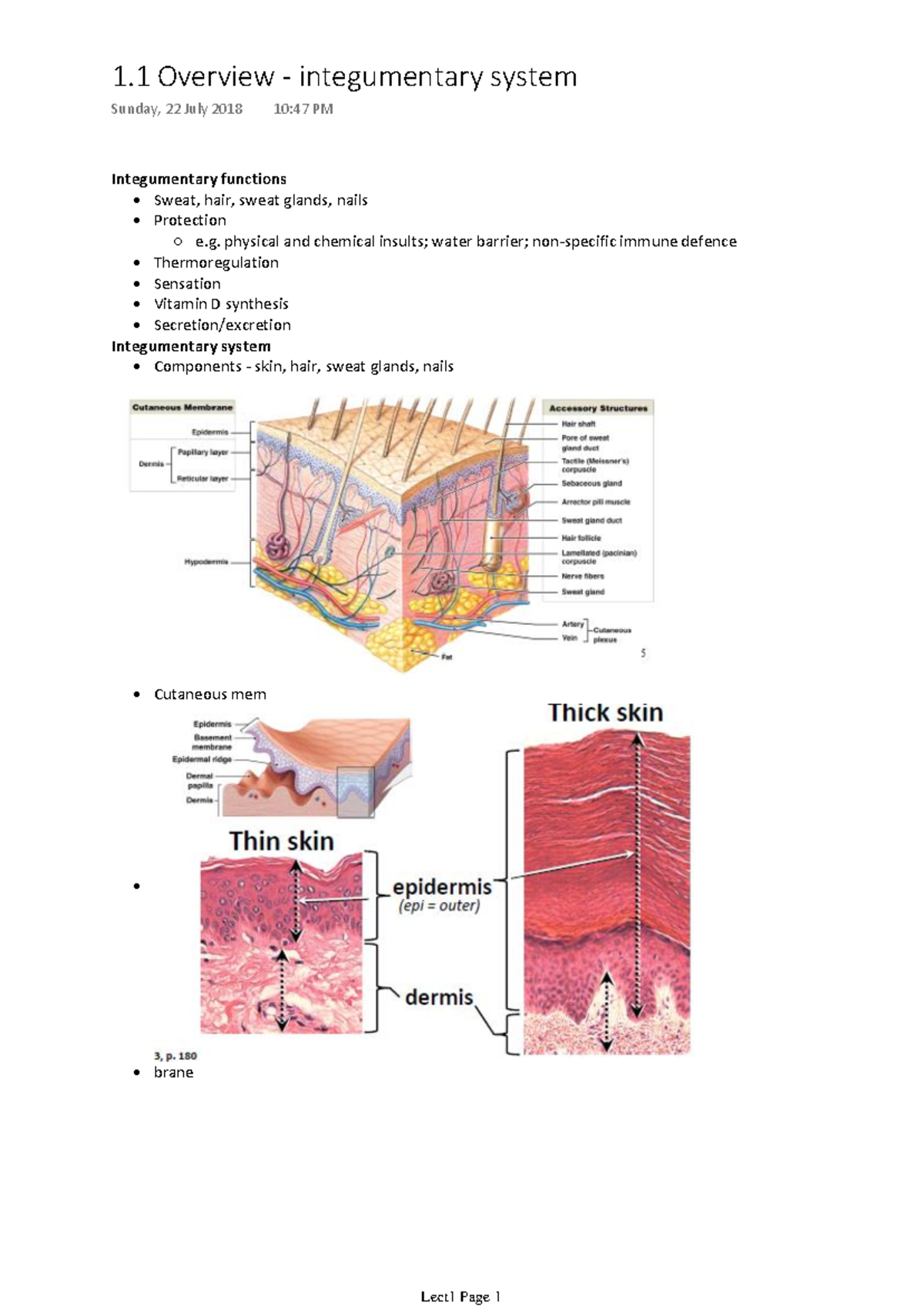 Lect1 LFS112 - full - 1 Overview - integumentary system Sunday, 22 July ...