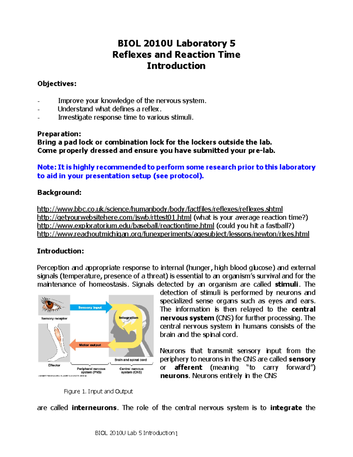 2010 lab 5 introduction 2022 - BIOL 2010U Laboratory 5 Reflexes and Reaction Time Introduction ...
