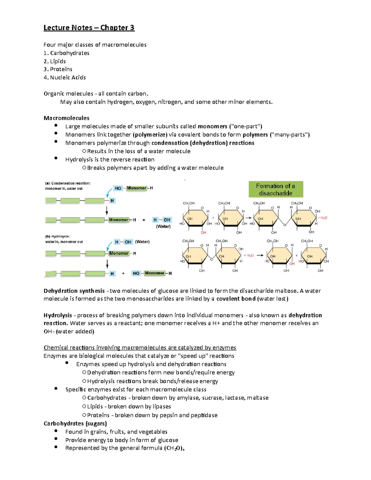 Lecture Notes Ch 3 - Lecture Notes – Chapter 3 Four major classes of ...