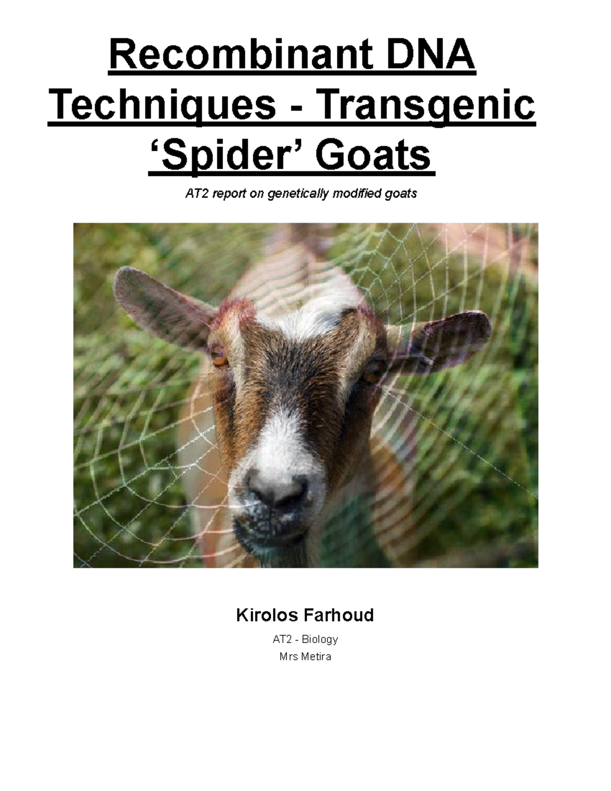 AT2 Report - Recombinant DNA Techniques - Transgenic ‘Spider’ Goats AT2 ...