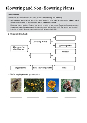 Acceleration calculations part 2 key - 101 - Studocu
