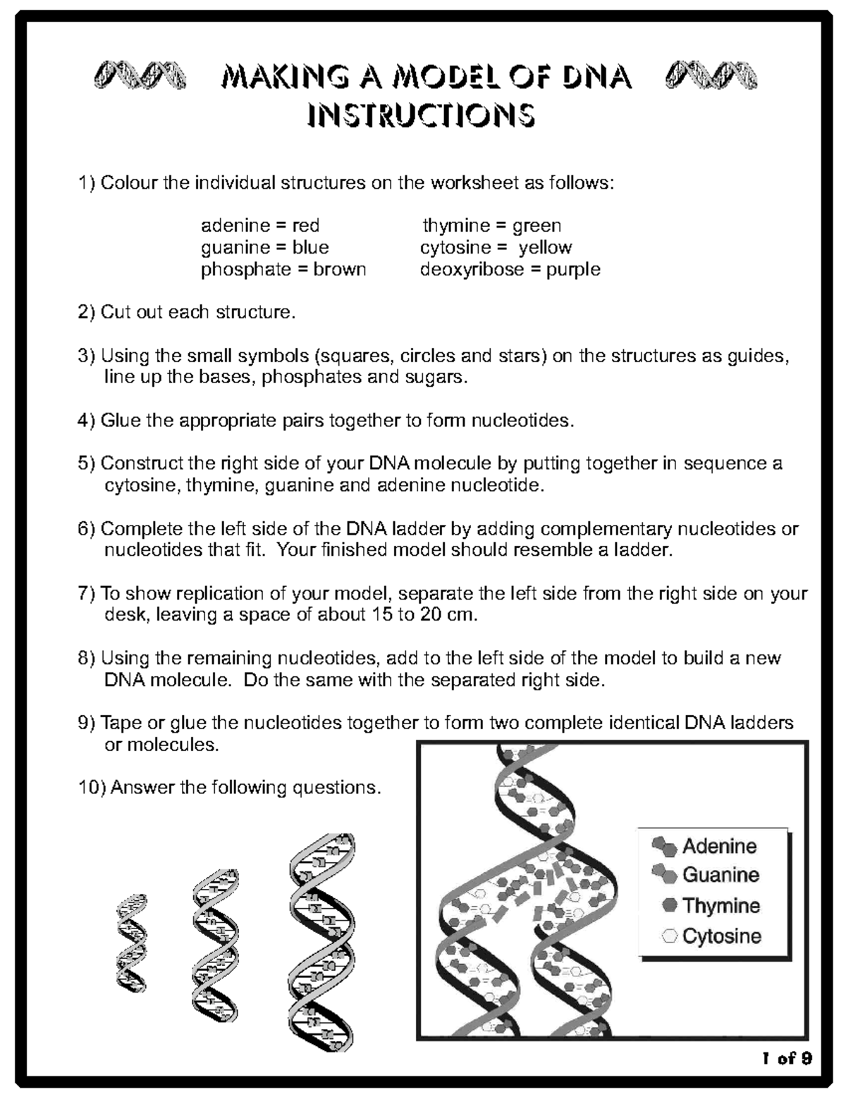 Dna modeling lab - 1) Colour the individual structures on the worksheet ...