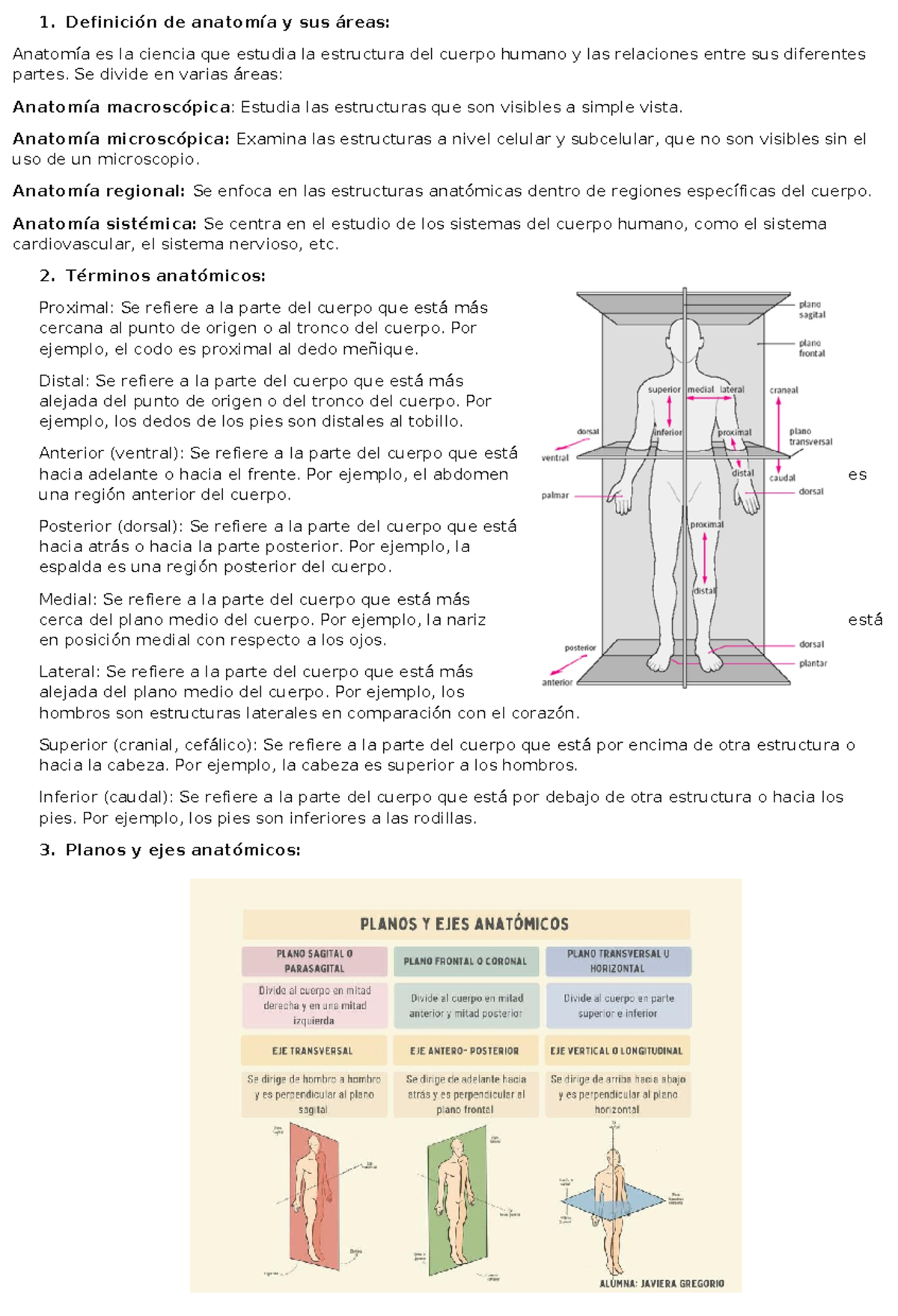 Definición de anatomía y sus áreas - Definición de anatomía y sus áreas ...