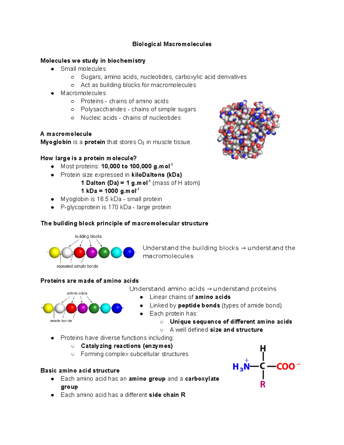 Lec 1 - Lecture notes 1 - Biological Macromolecules Molecules we study ...