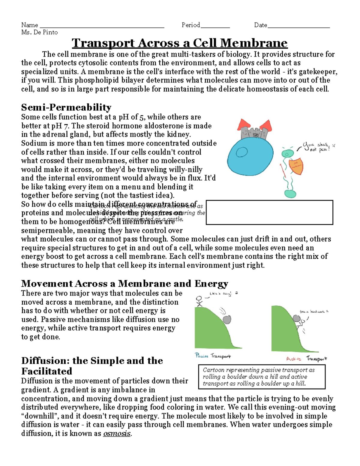 14 - Active vs Passive Transport Reading - Name ...