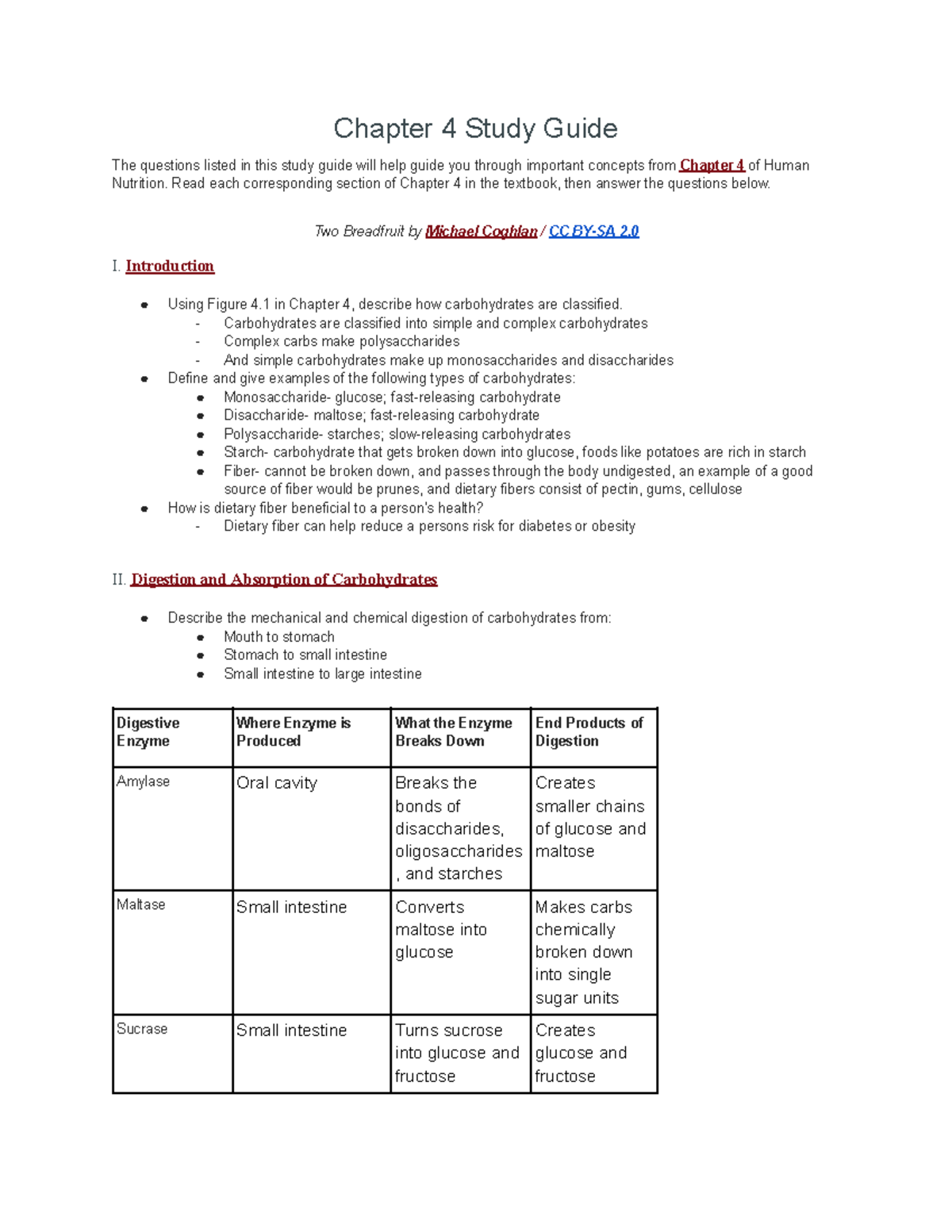 Chapter 4 the Human Body and Proper Food Intake Mental and Physical ...