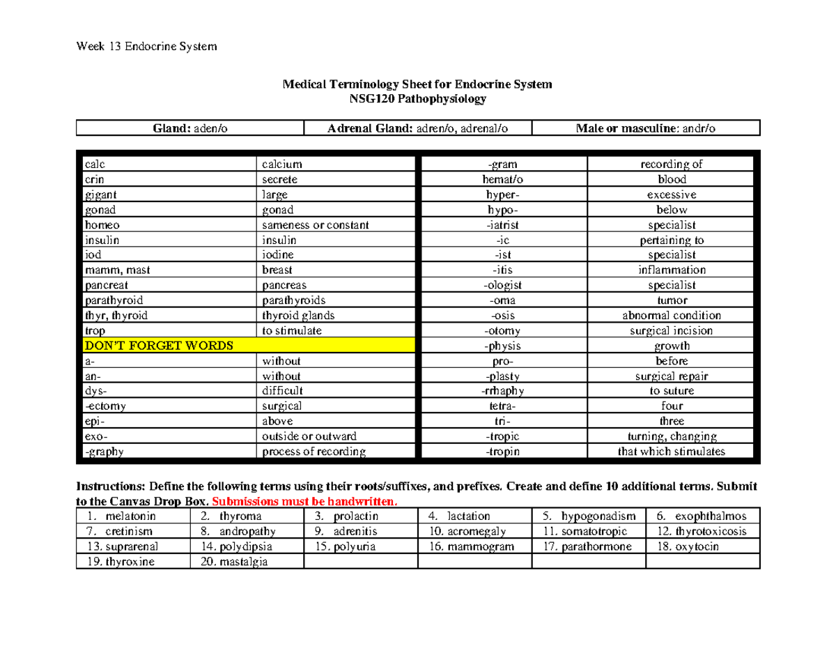 Endocrine Medical term - Week 13 Endocrine System Medical Terminology ...