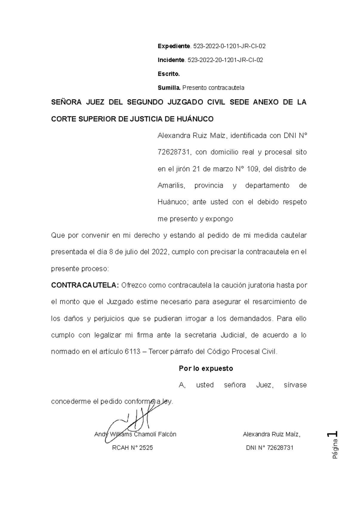 Contracautela - dsadsadsa - Expediente. 523-2022-0-1201-JR-CI ...
