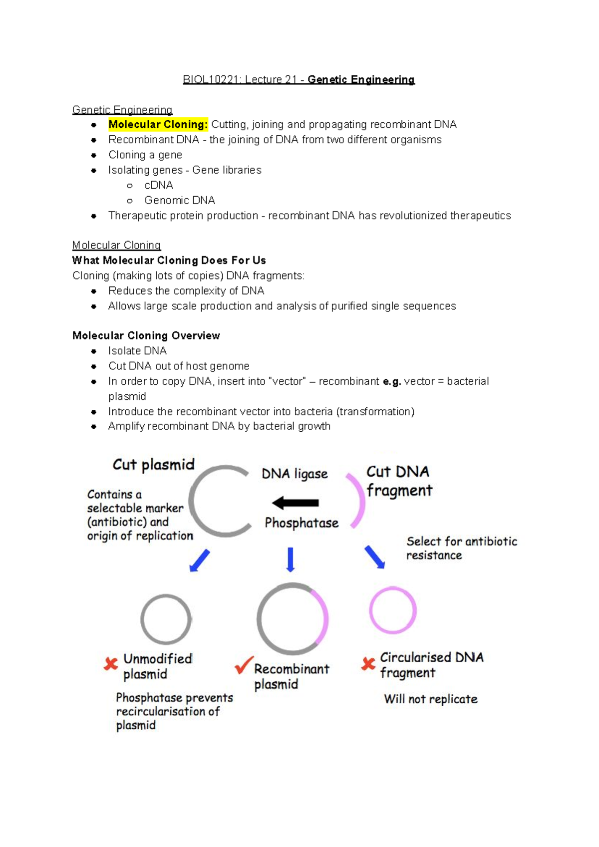 BIOL10221 Lecture 21 - Genetic Engineering - BIOL10221: Lecture 21 ...