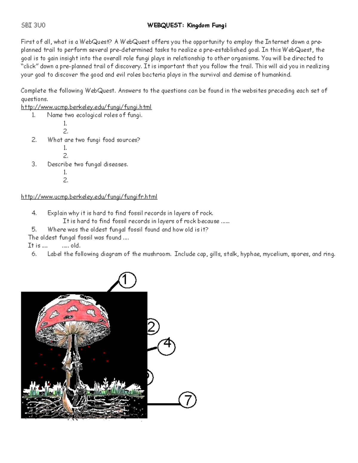 Fungi Webquest - yeee - SBI 3U0 WEBQUEST: Kingdom Fungi First of all ...