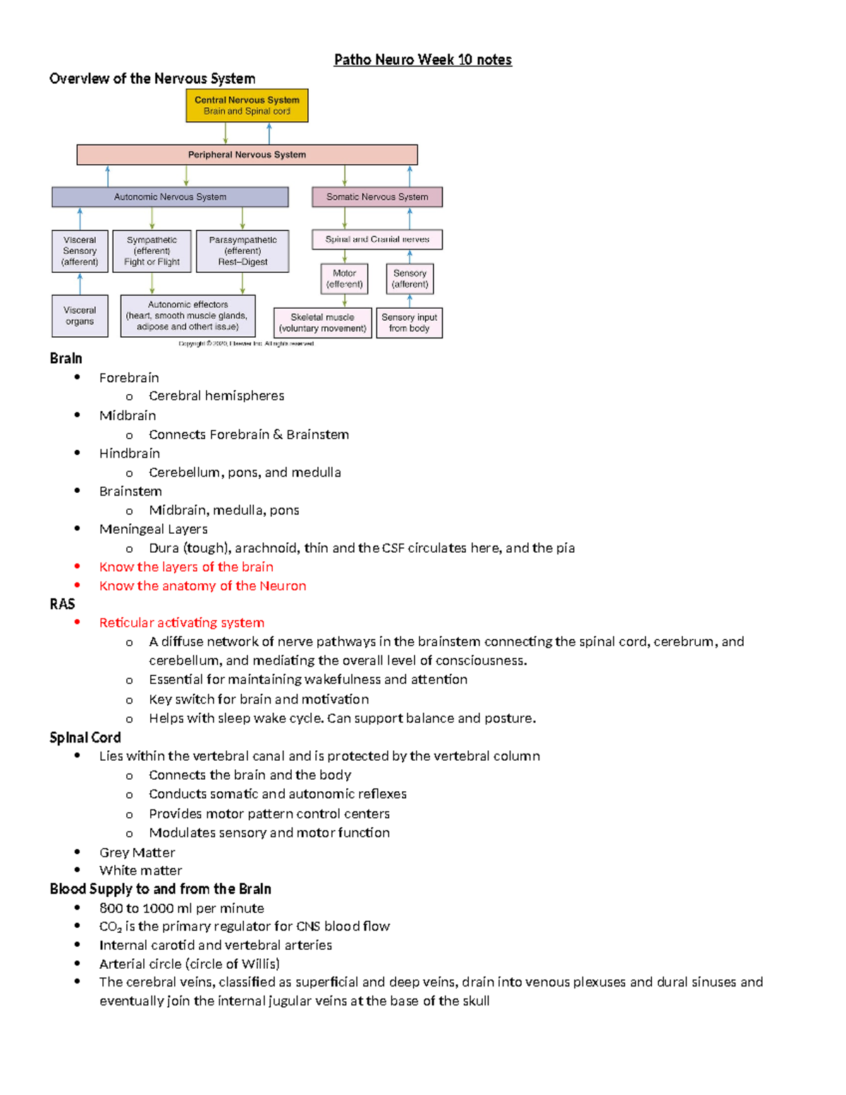 Patho Neuro Week 10 notes - Patho Neuro Week 10 notes Overview of the ...