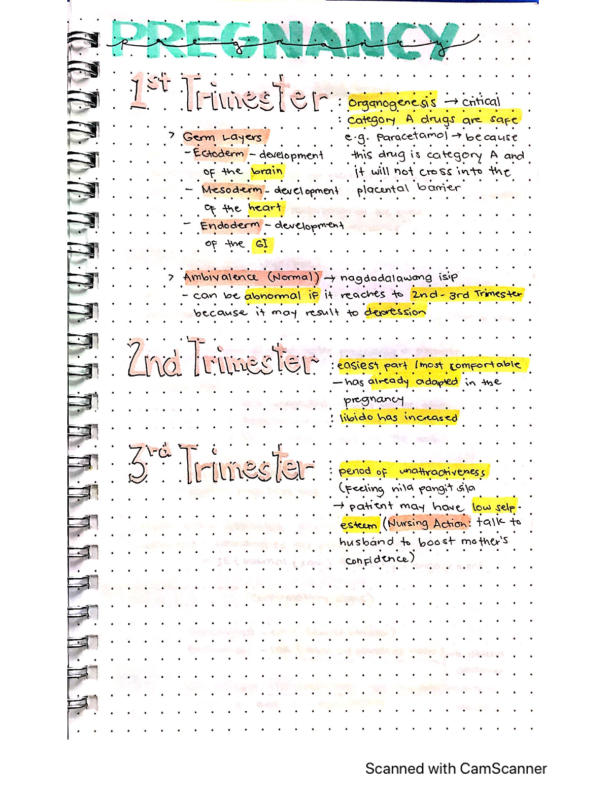 OB- Notes - OB Nursing - PREGNANCY 7 Trimester Organogenesis critical ...