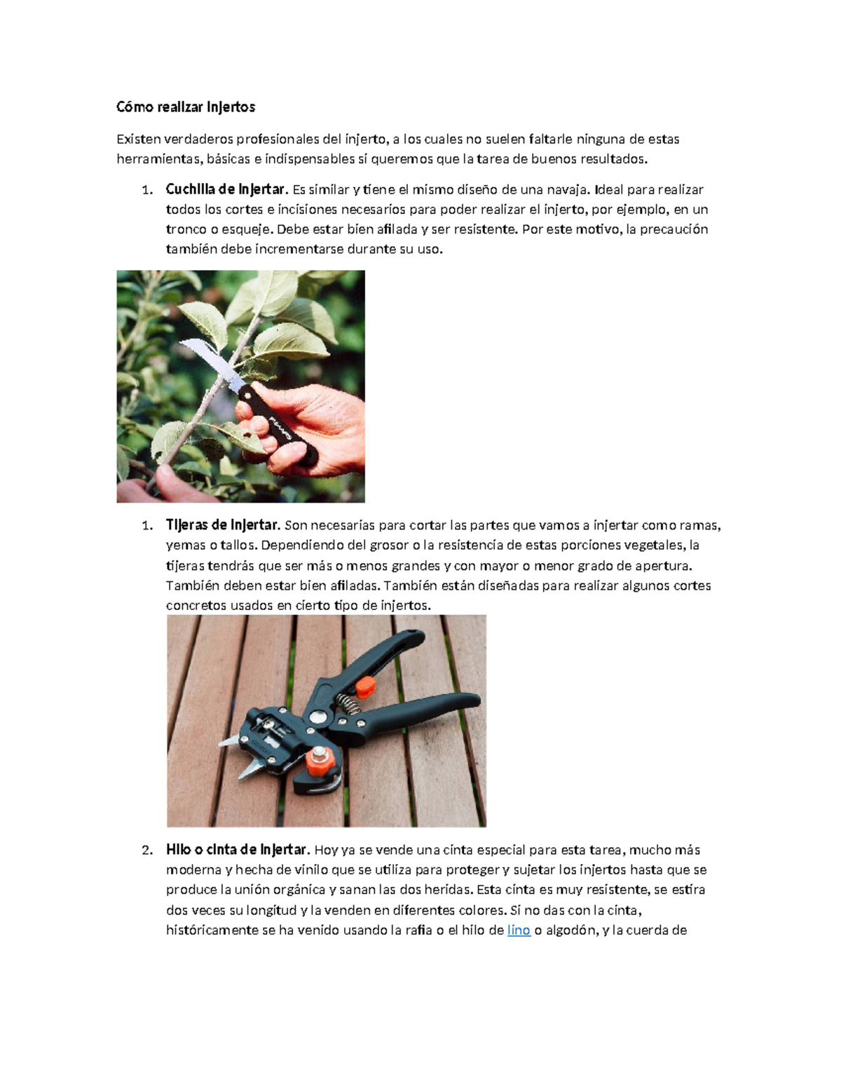 Equipo para injertar plantas - Cómo realizar injertos Existen ...