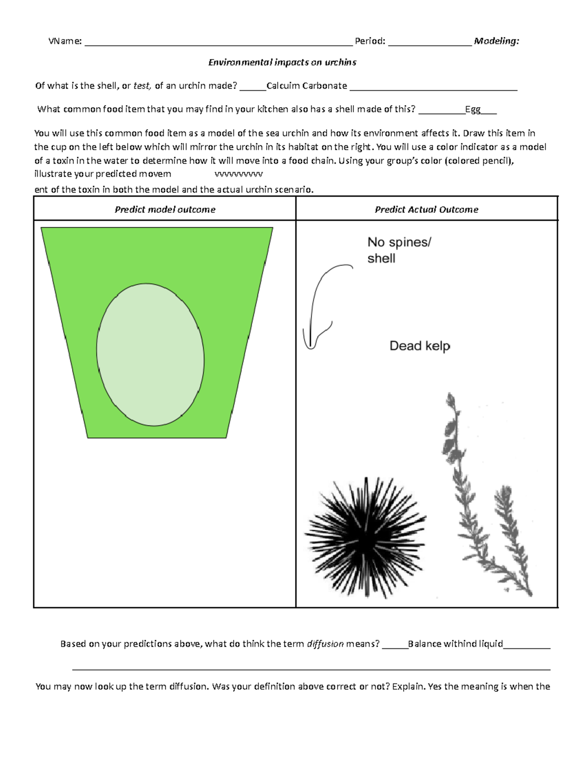Homeostasis Egg Lab Rev - VName ...
