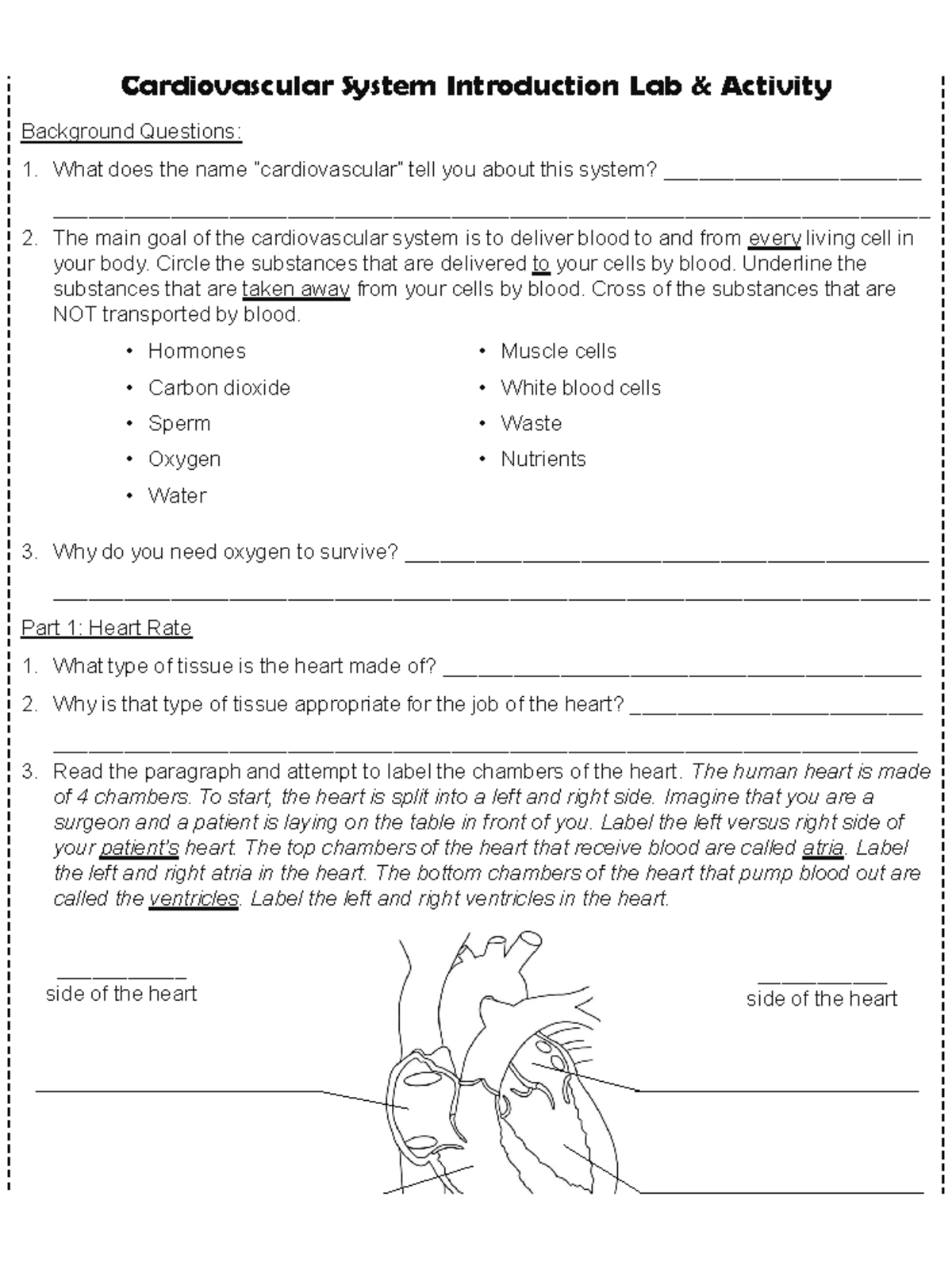 Cardio Basics Lab (F) - converted - Name: - Studocu