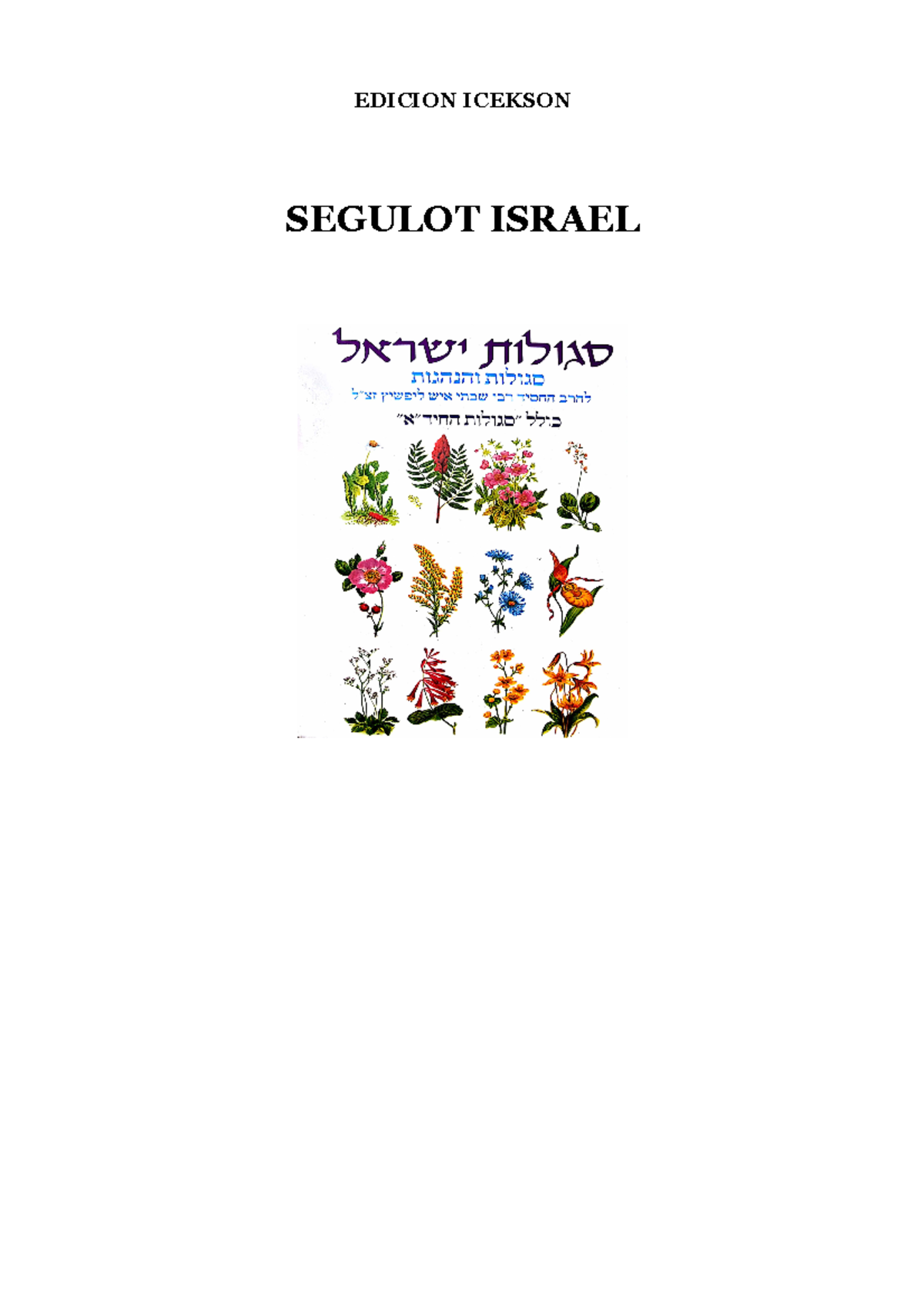 Segulot BN - jhewf - EDICION ICEKSON SEGULOT ISRAEL Titulo Original ...