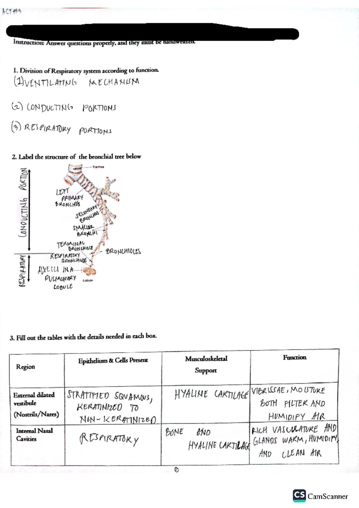 Activity-13 - Activity 13 - Instruction: Answer questions properly, and ...