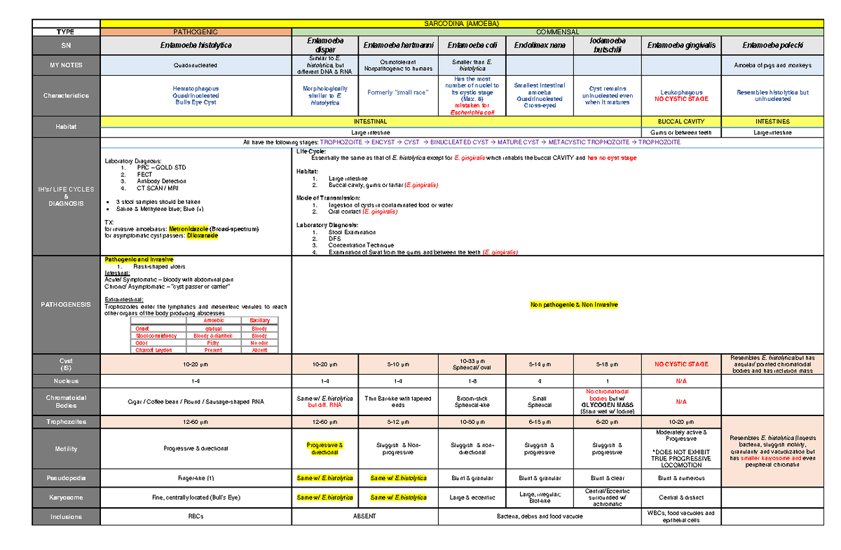 Sarcodina table - SARCODINA (AMOEBA) TYPE PATHOGENIC COMMENSAL SN ...
