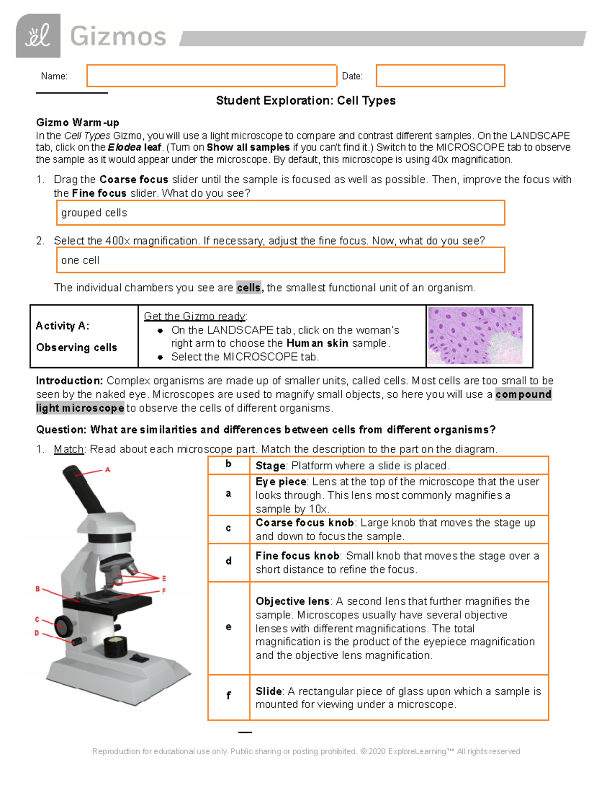 Christian Grimaldi - Cell Types Gizmo - 9964504 - Google Docs - Name ...