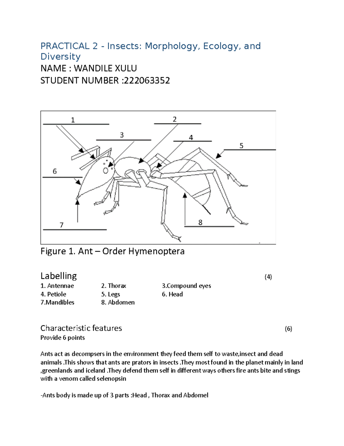 Insect Morphology Questions at Tayla Burdett blog