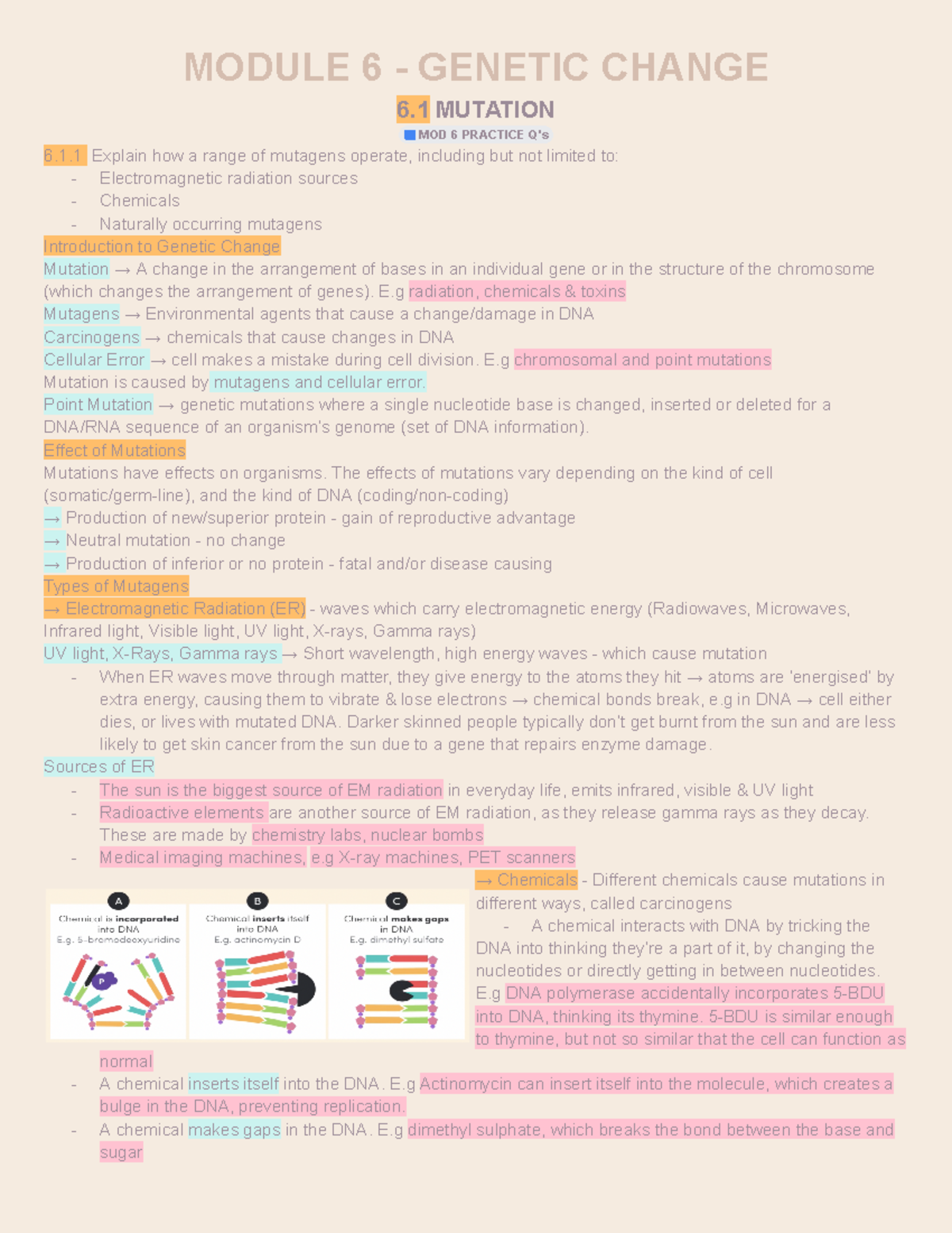 Module 6 Bio Notes - MODULE 6 - GENETIC CHANGE 6 MUTATION MOD 6 ...