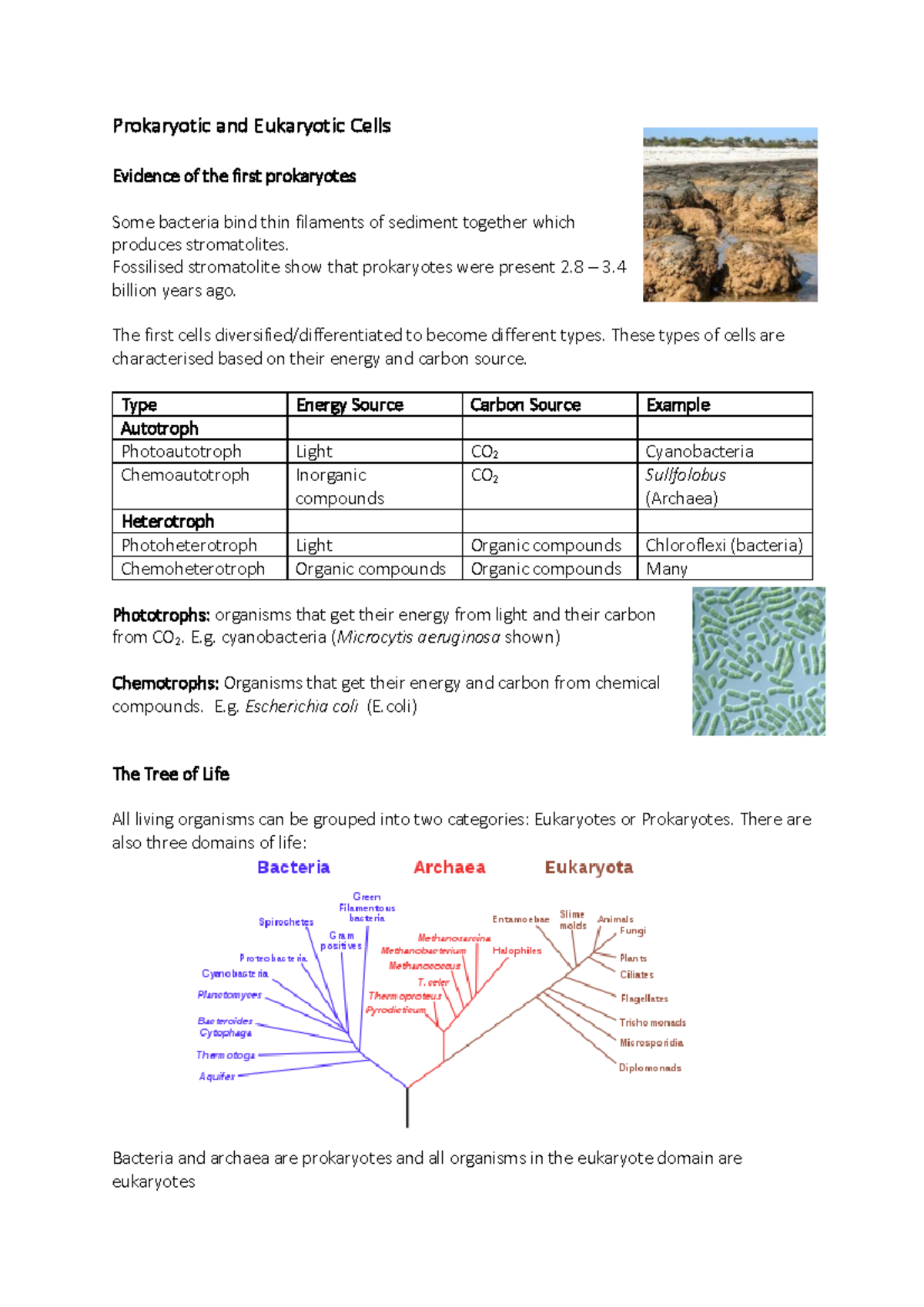 BI101 - Cell Biology Lecture 2 - Warning: TT: undefined function: 32 Prokaryotic and Eukaryotic ...