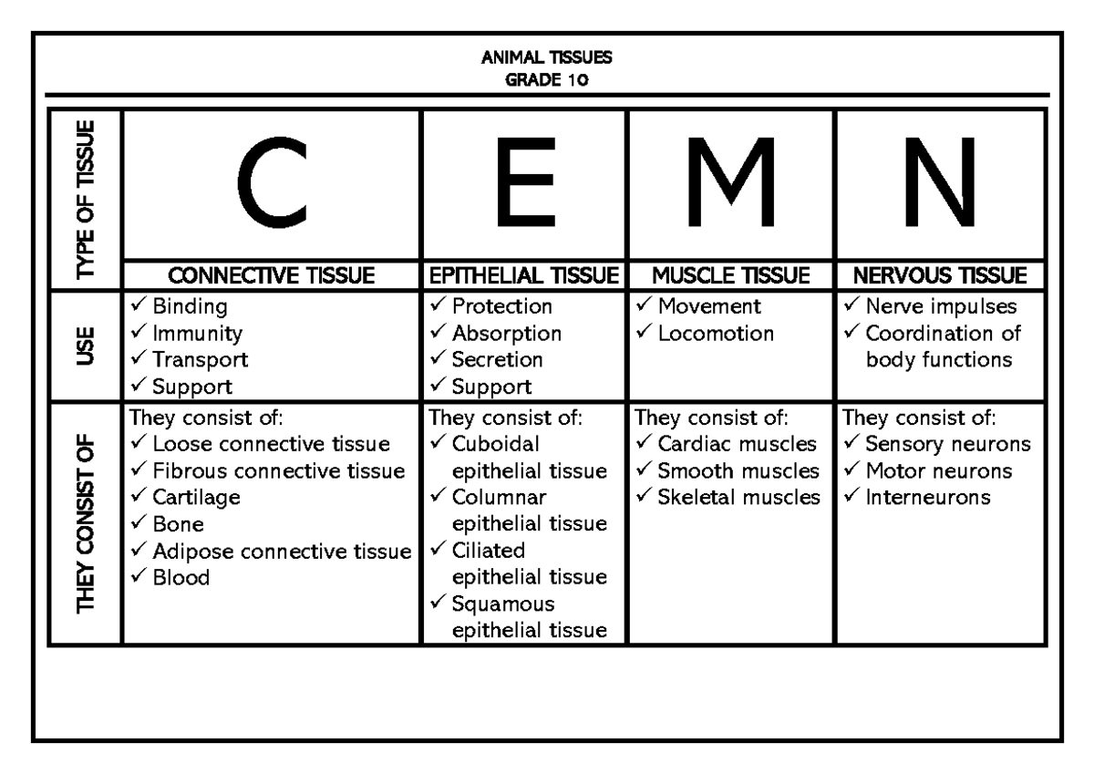 Animal Tissues - ANIMAL TISSUES GRADE 10 TYPE OF TISSUE C E M N ...
