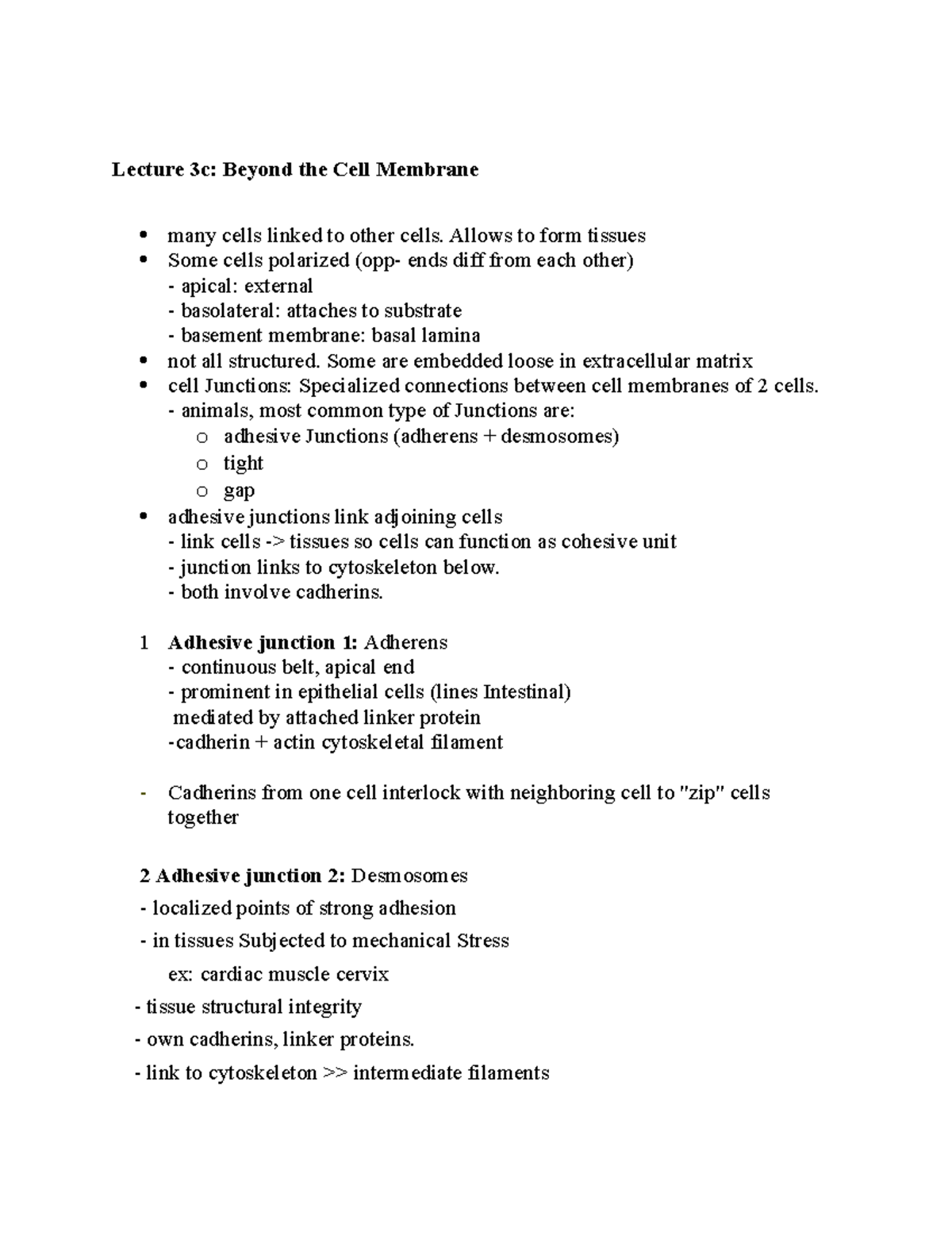 Lecture 3c - Mindy Mccarville Cell Biology Fall 2021 - Lecture 3c ...