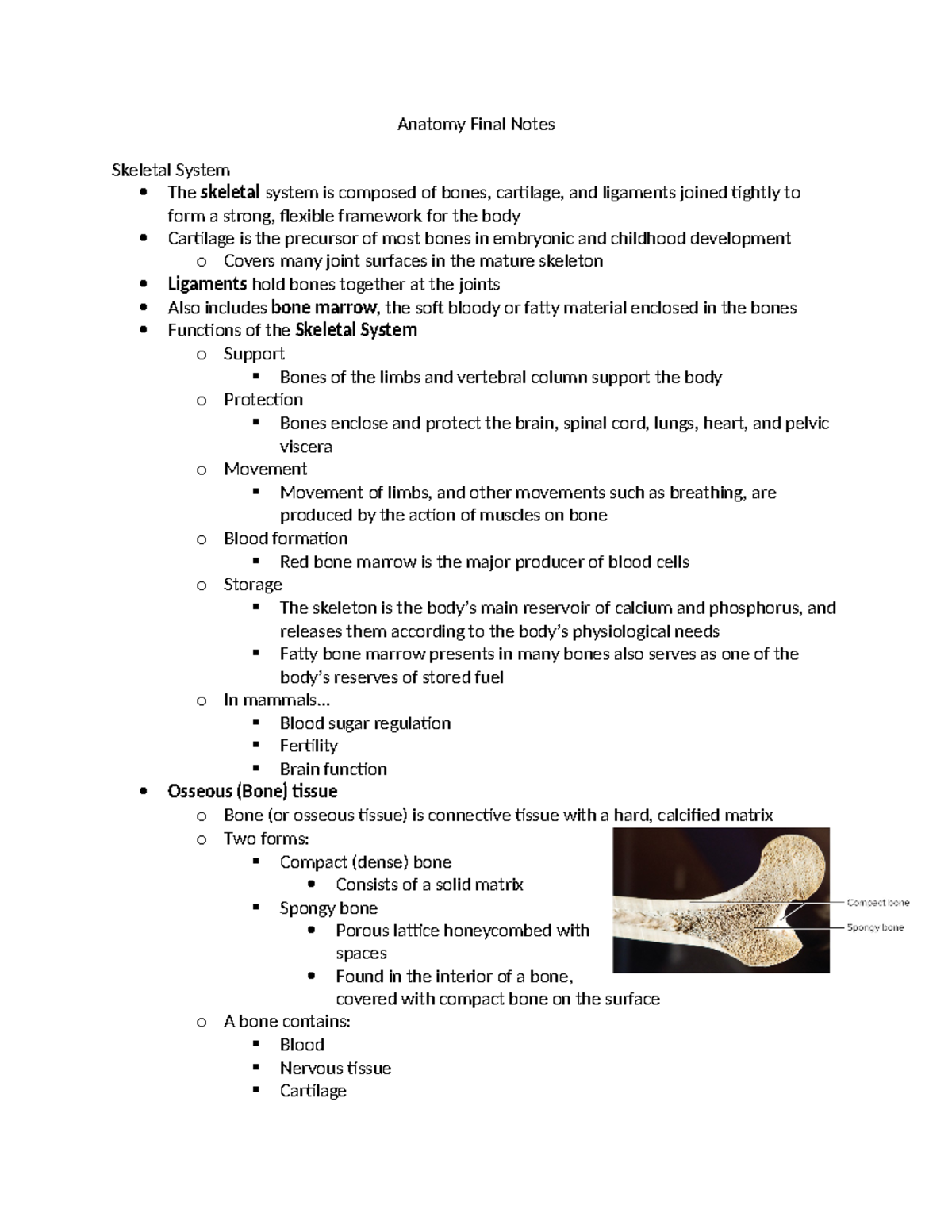 ANAT 1052 Skeletal System - Anatomy Final Notes Skeletal System The ...