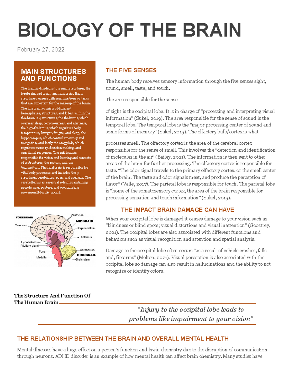 Biology of the Brain - General Psycology PSY-102 22/23 great work ...