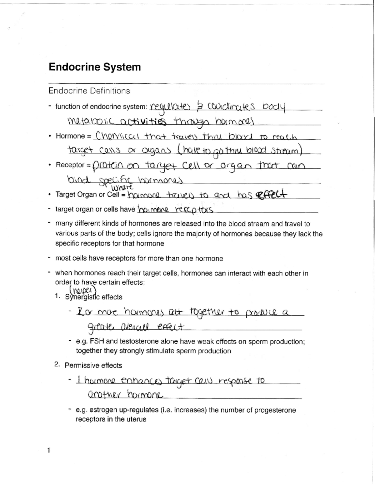 Endocrine System - Endocrine System Endocrine Definitions function of ...