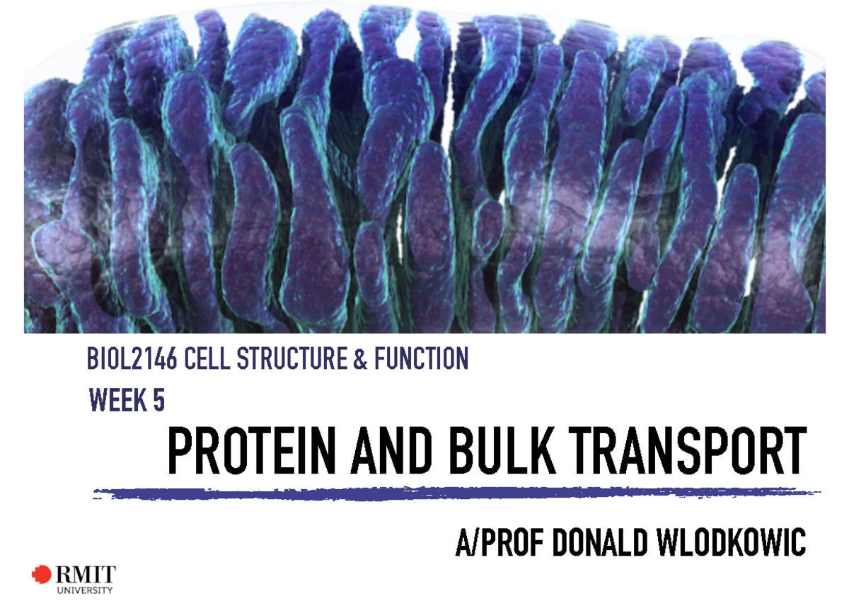 Week 5 Lecture - 2020 - PROTEIN AND BULK TRANSPORT A/PROF DONALD ...