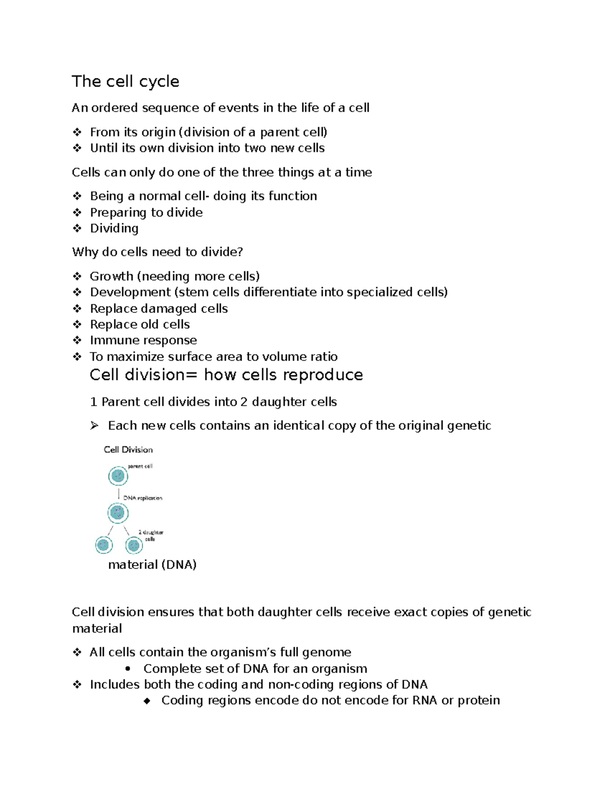 Bio chapter 3 - The cell cycle An ordered sequence of events in the ...
