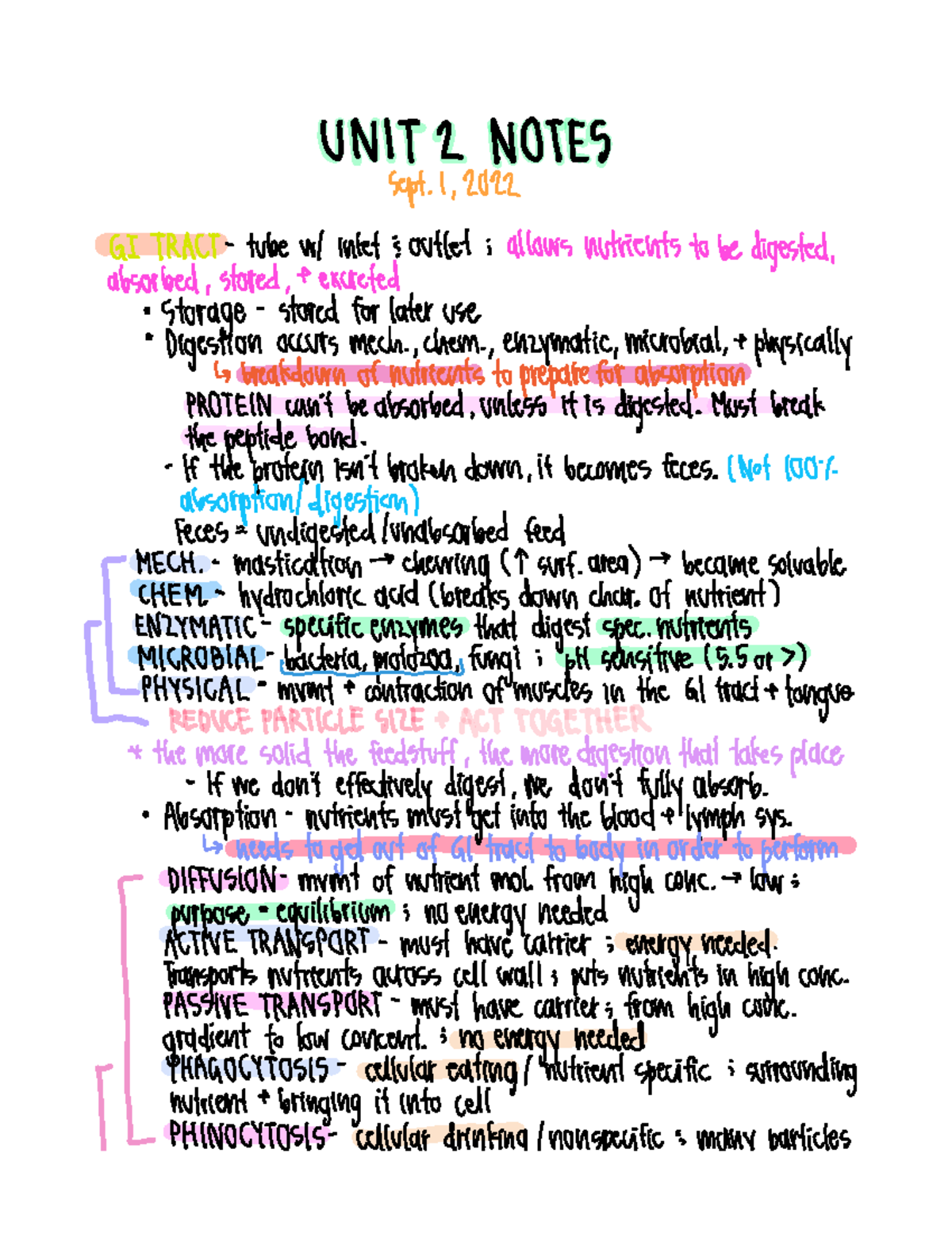 Unit 2 Notes - GI tract - UNIT 2 NOTES Sept. 1, 2022 GI TRACD tube ...