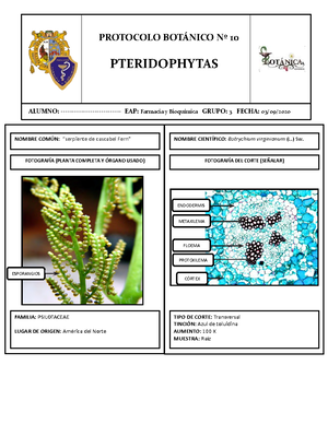 Metafosfato de Aluminio - METAFOSFATO DE ALUMINIO Fórmula: Al(PO 3 ) 3 ...