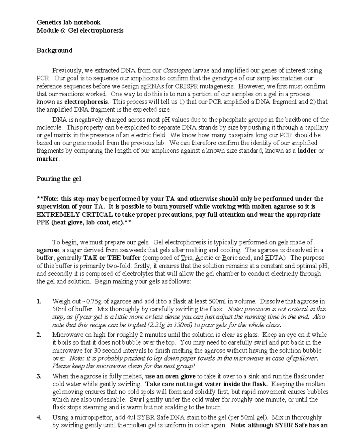 Module 6 - gel electrophoresis - Genetics lab notebook Module 6: Gel electrophoresis Background ...