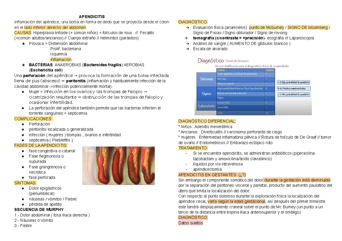 Resumen Cirugia I - APENDICITIS inflamación del apéndice, una bolsa en ...
