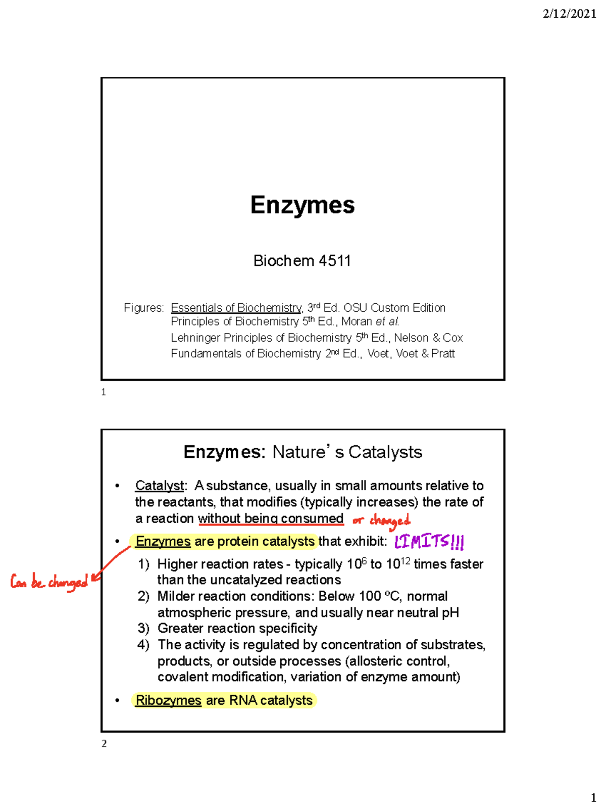 Chapter 8 Enzymes - Lecture notes - Enzymes Biochem 4511 Figures ...
